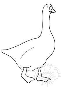 Simple Goose | Coloring Page