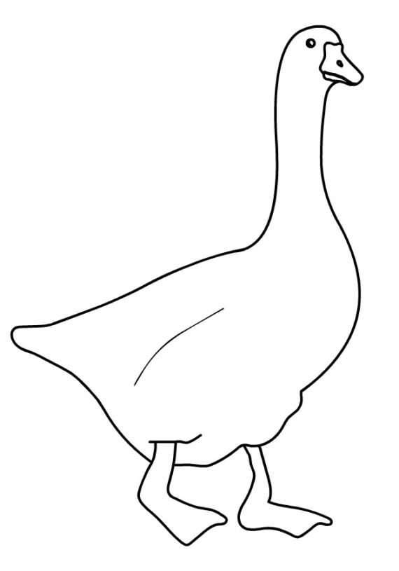 Simple Goose | Coloring Page
