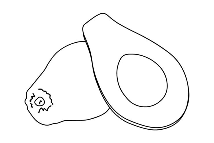 Avocado | Coloring Page