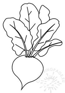 Beet | Coloring Page