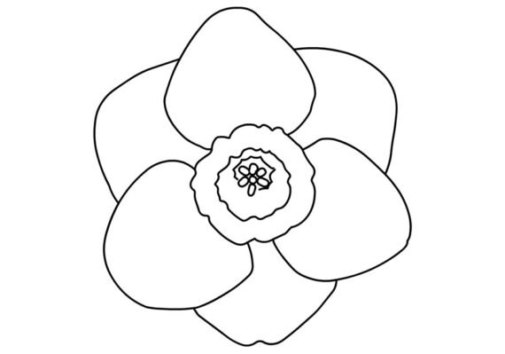 Spring Blooming Daffodil | Coloring Page