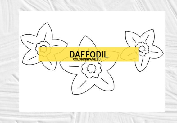 Printable daffodil outline | Coloring Page