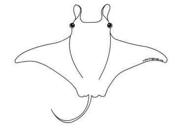 Manta Ray | Coloring Page