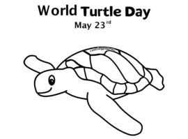 World Turtle Day | Coloring Page