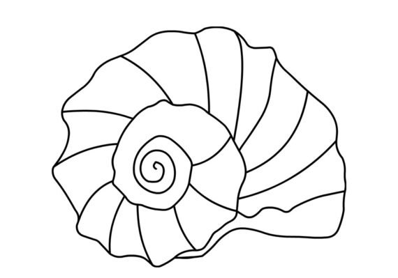 Conch Shell | Coloring Page