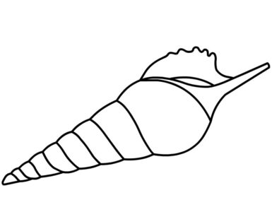 Zentangle Mermaid Tail | Coloring Page