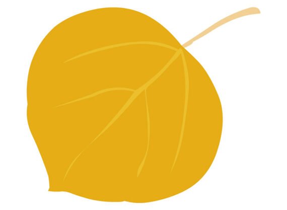 Golden Aspen Leaf | Coloring Page