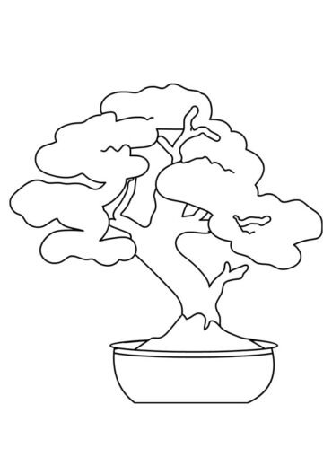 Bonsai | Coloring Page