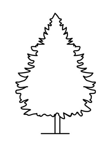 Conifer Tree | Coloring Page