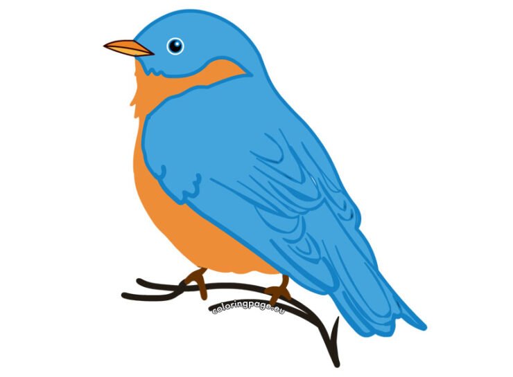Printable cute Bluebird | Coloring Page