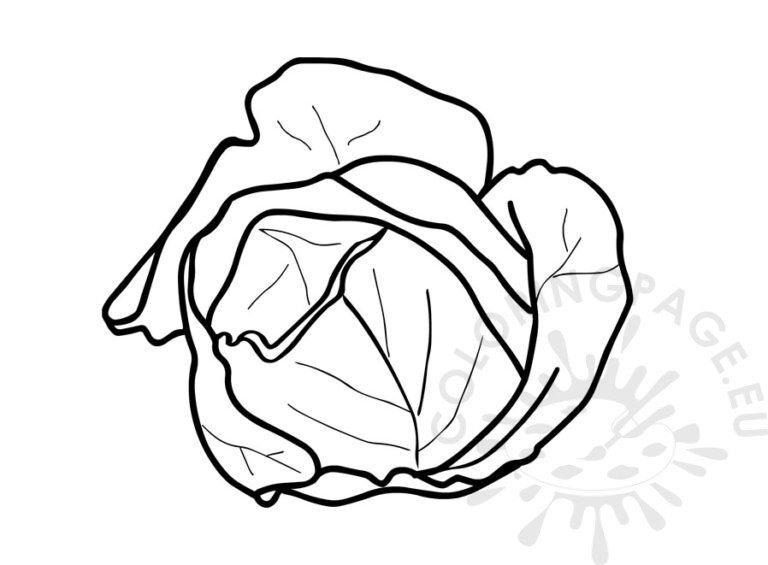 Open Cabbage | Coloring Page