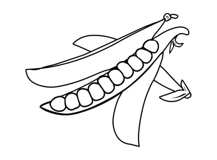 Peas | Coloring Page