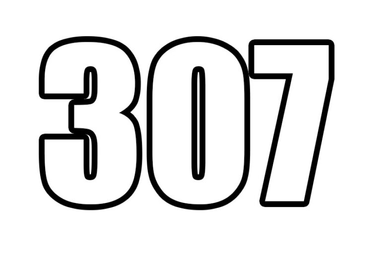 307 number | Coloring Page