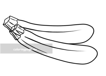 Zucchini | Coloring Page