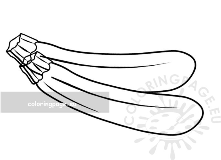 Zucchini | Coloring Page