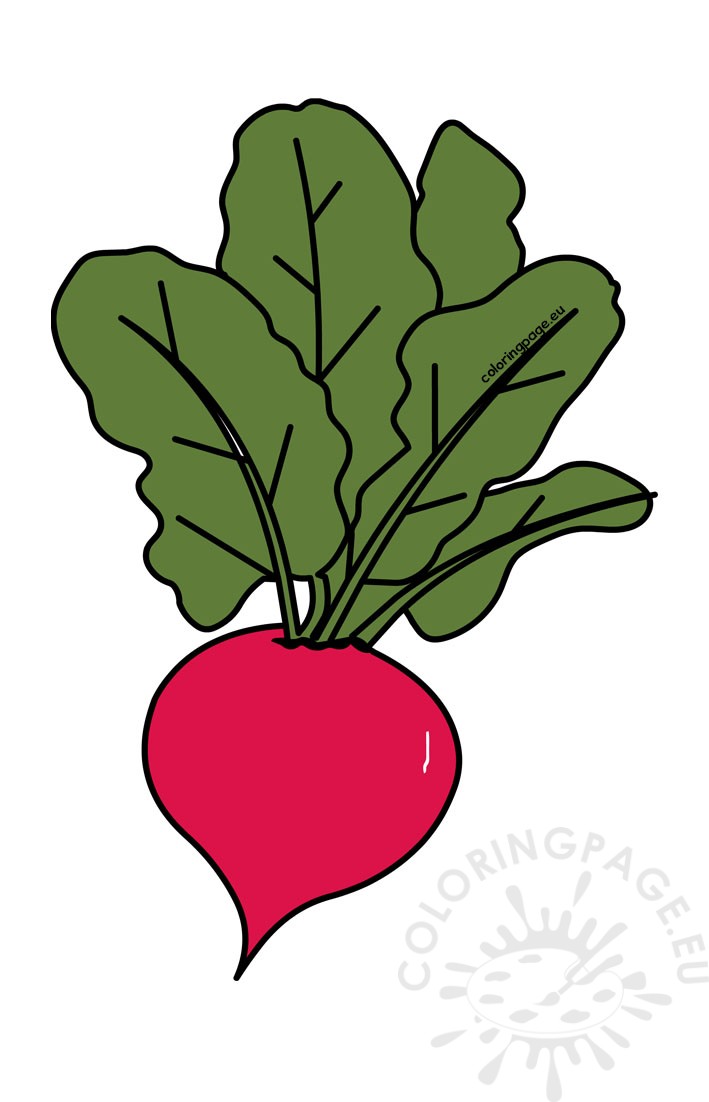 Radish | Coloring Page