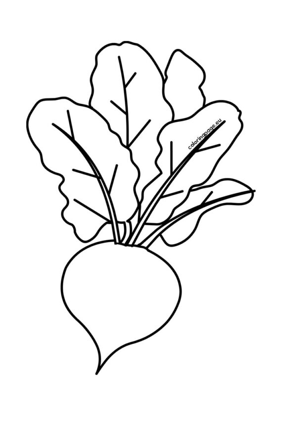 Vegetable radish | Coloring Page