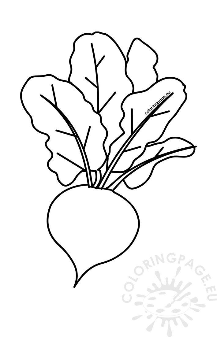 Vegetable radish | Coloring Page