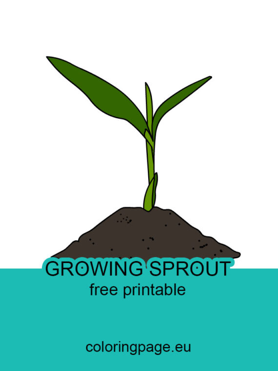 Green Growing Sprout | Coloring Page