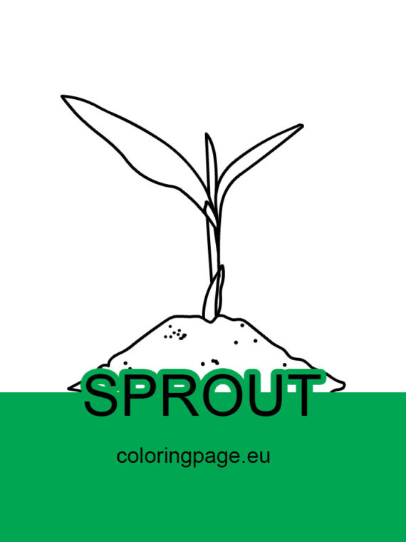 Sprout | Coloring Page