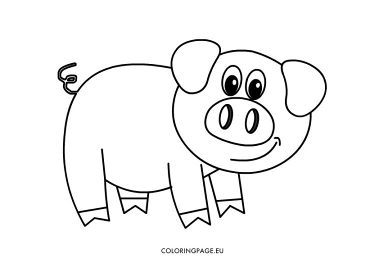 Pig | Coloring Page
