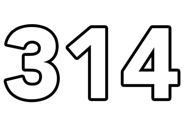 314 number | Coloring Page