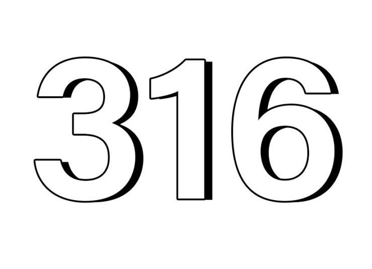 316 number | Coloring Page