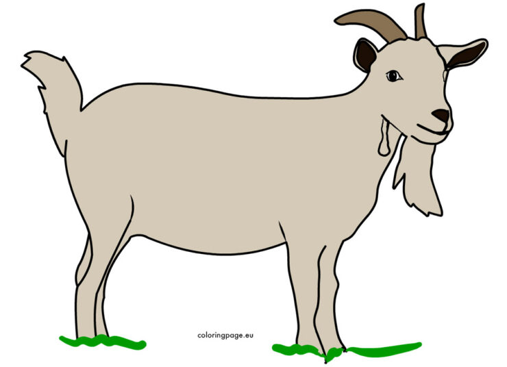 Farm animal goat | Coloring Page