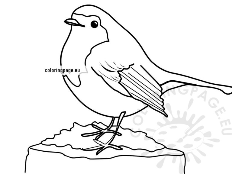 Robin bird | Coloring Page