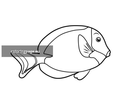 Powder Blue Surgeonfish | Coloring Page