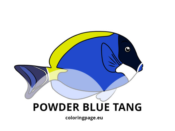 Powder blue tang | Coloring Page