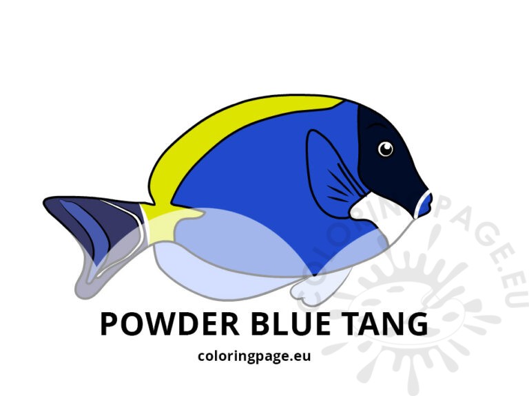 Powder blue tang | Coloring Page