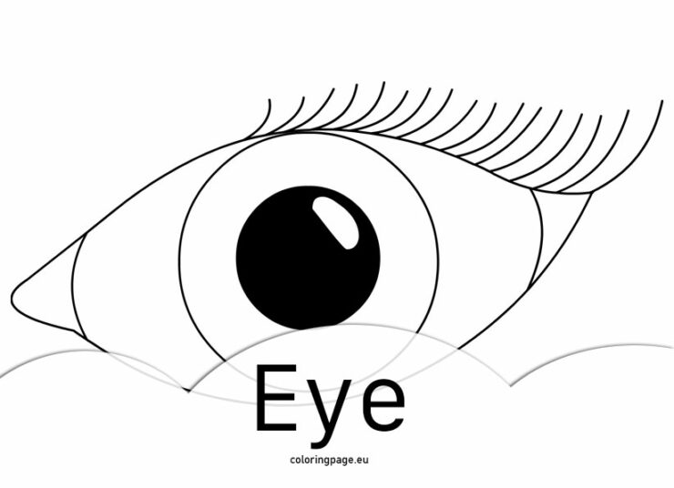Eye | Coloring Page