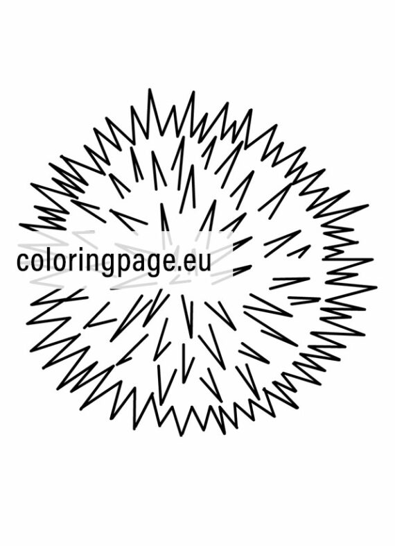 Chestnut burr | Coloring Page