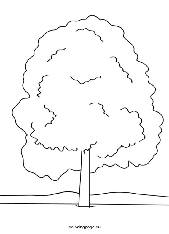 Chestnut tree | Coloring Page