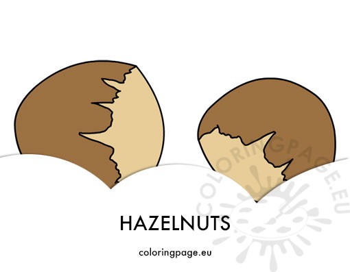 Two hazelnuts in shell | Coloring Page
