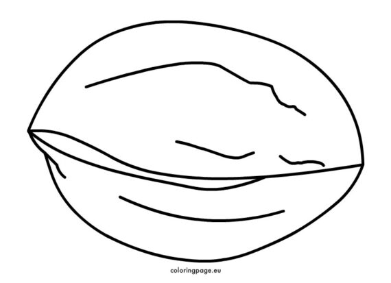 Walnut | Coloring Page