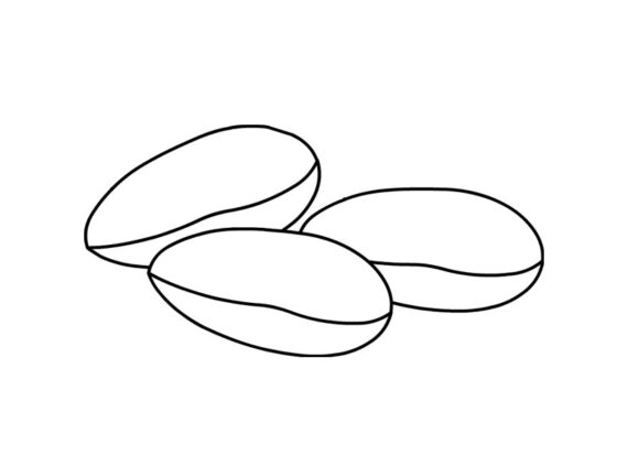 Seeds | Coloring Page