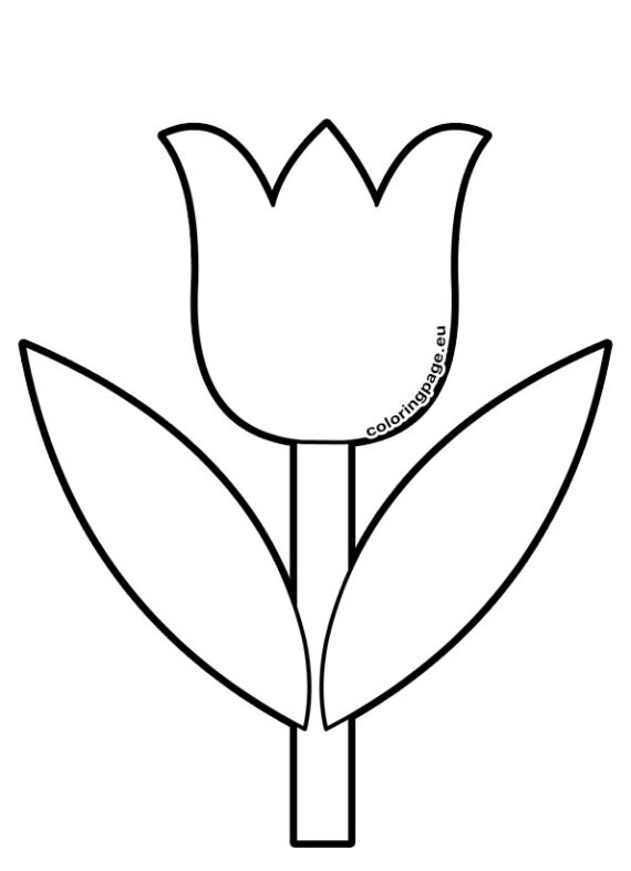 Simple tulip | Coloring Page
