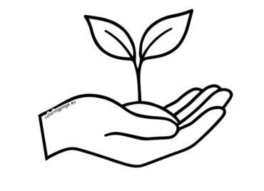 Hand holding seedling | Coloring Page