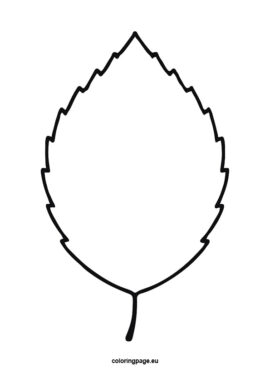 Beech leaf template | Coloring Page